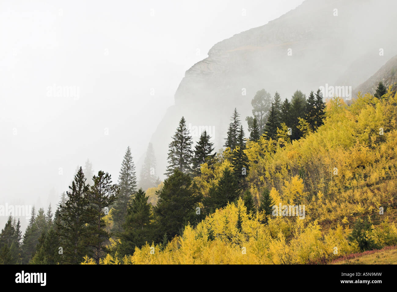 Disappearing cliff hi-res stock photography and images - Alamy