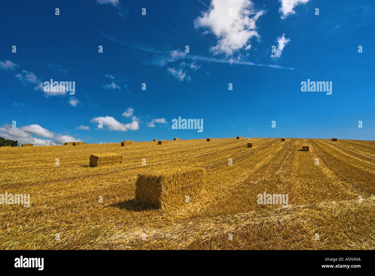 Rectangular Bales near Compton Dando, Somerset, England Stock Photo - Alamy
