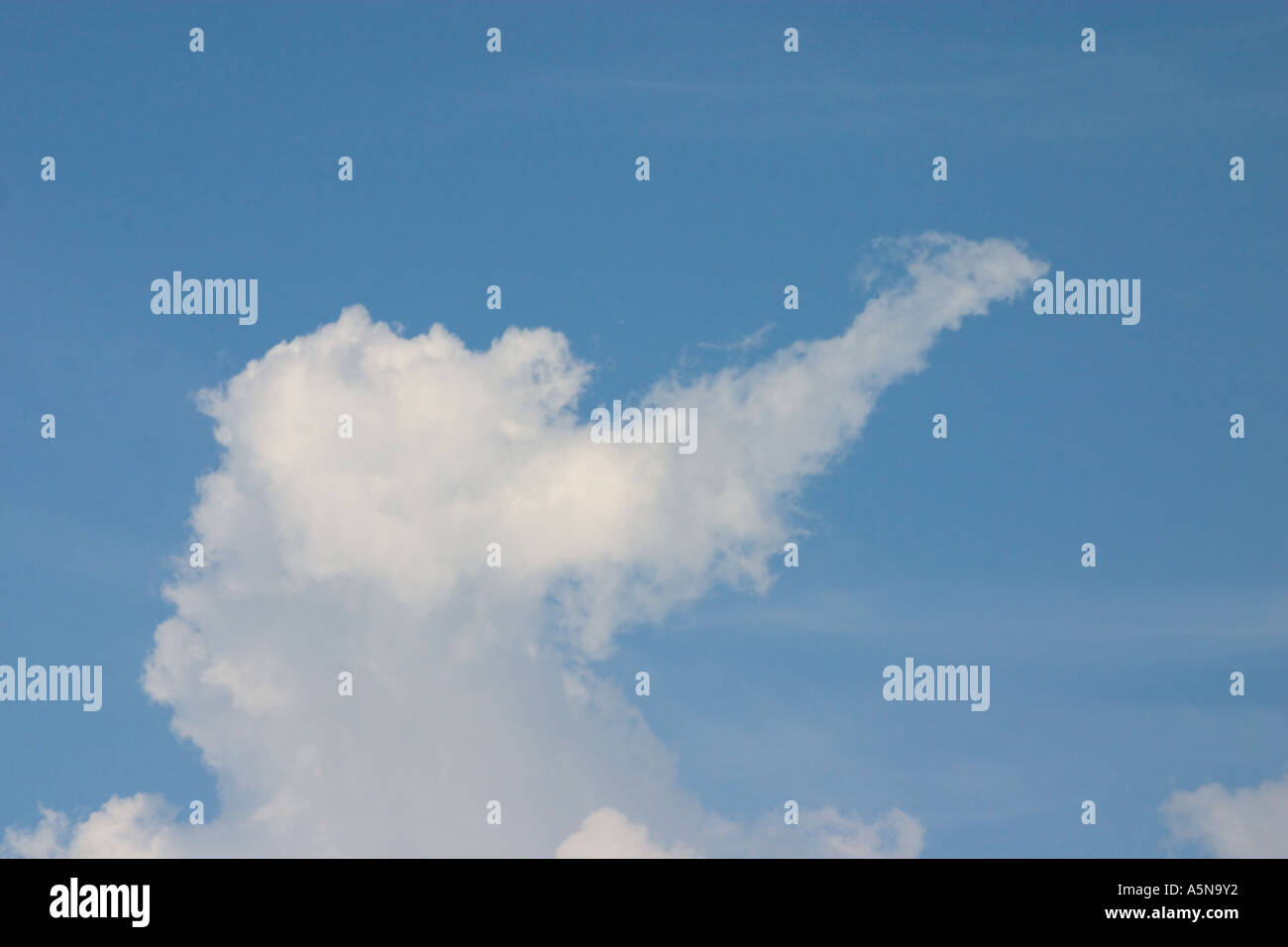 cloud shaped like elephant trunk Stock Photo - Alamy