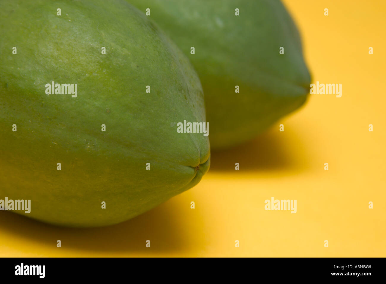 two papayas looks like a pair of breasts Stock Photo - Alamy