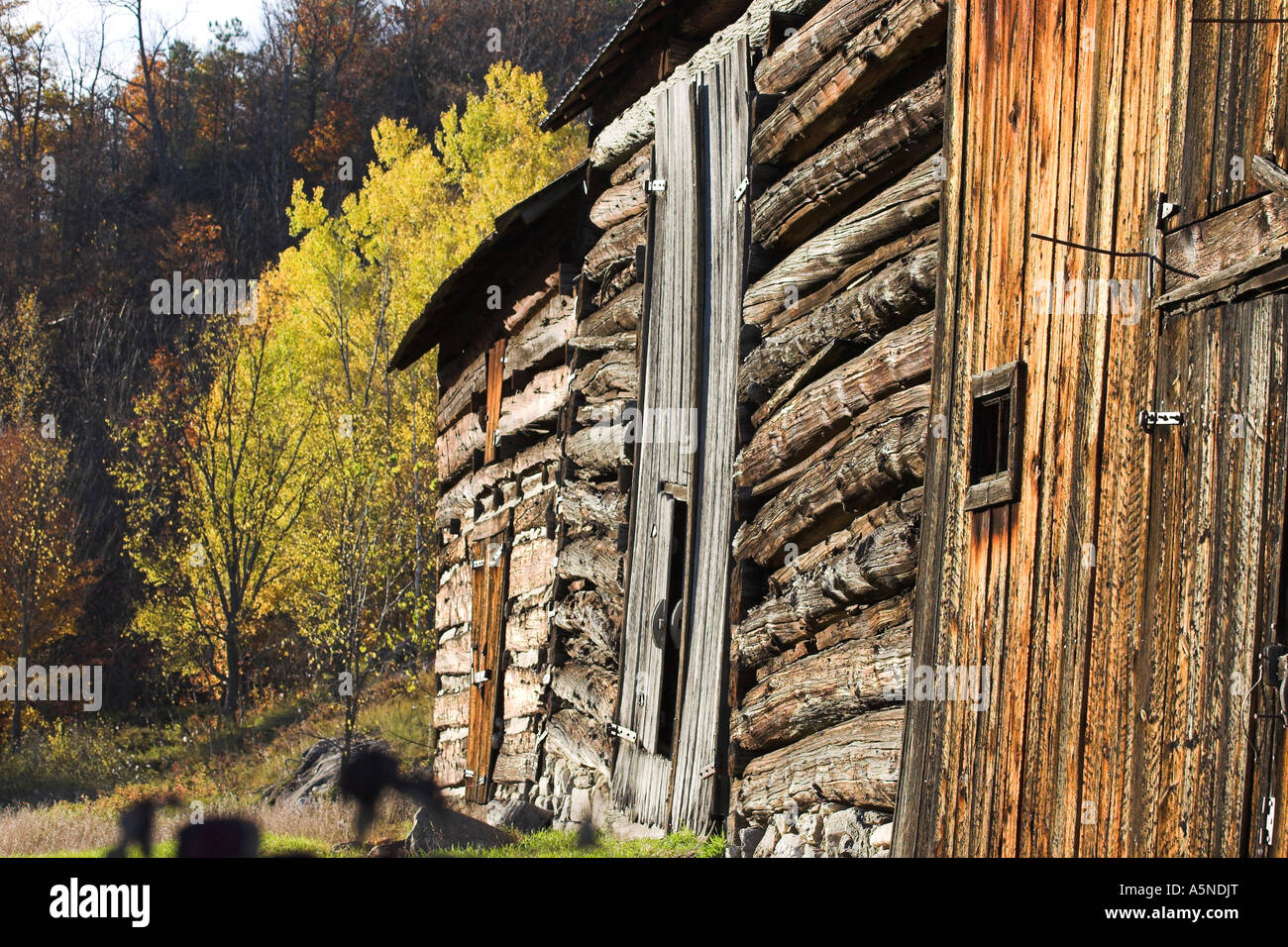 Barn row with Trees: Leaning Barn Row: Three 18th century barns two of ...