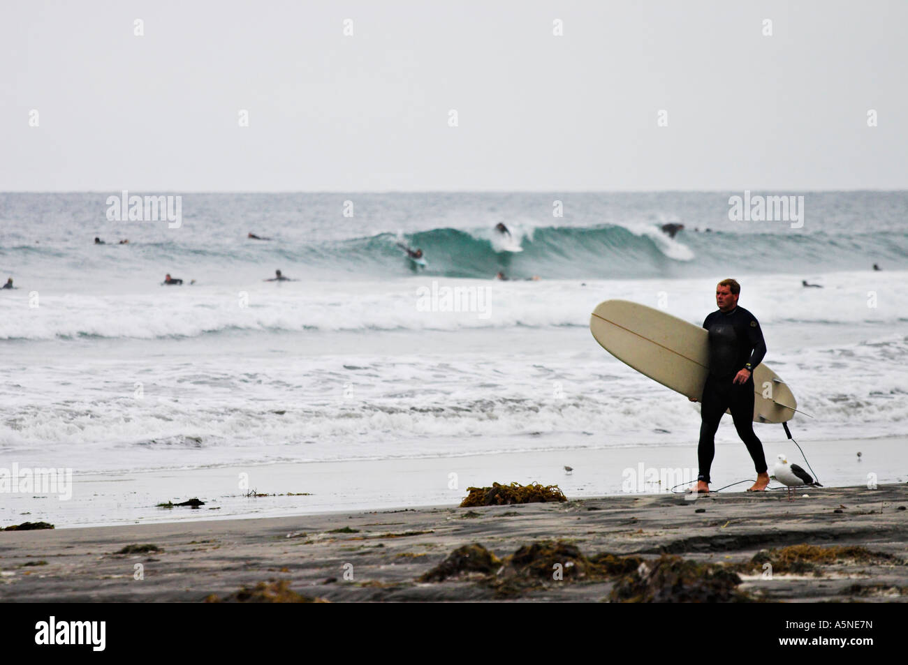 Surfing Beach California Stock Photo - Alamy