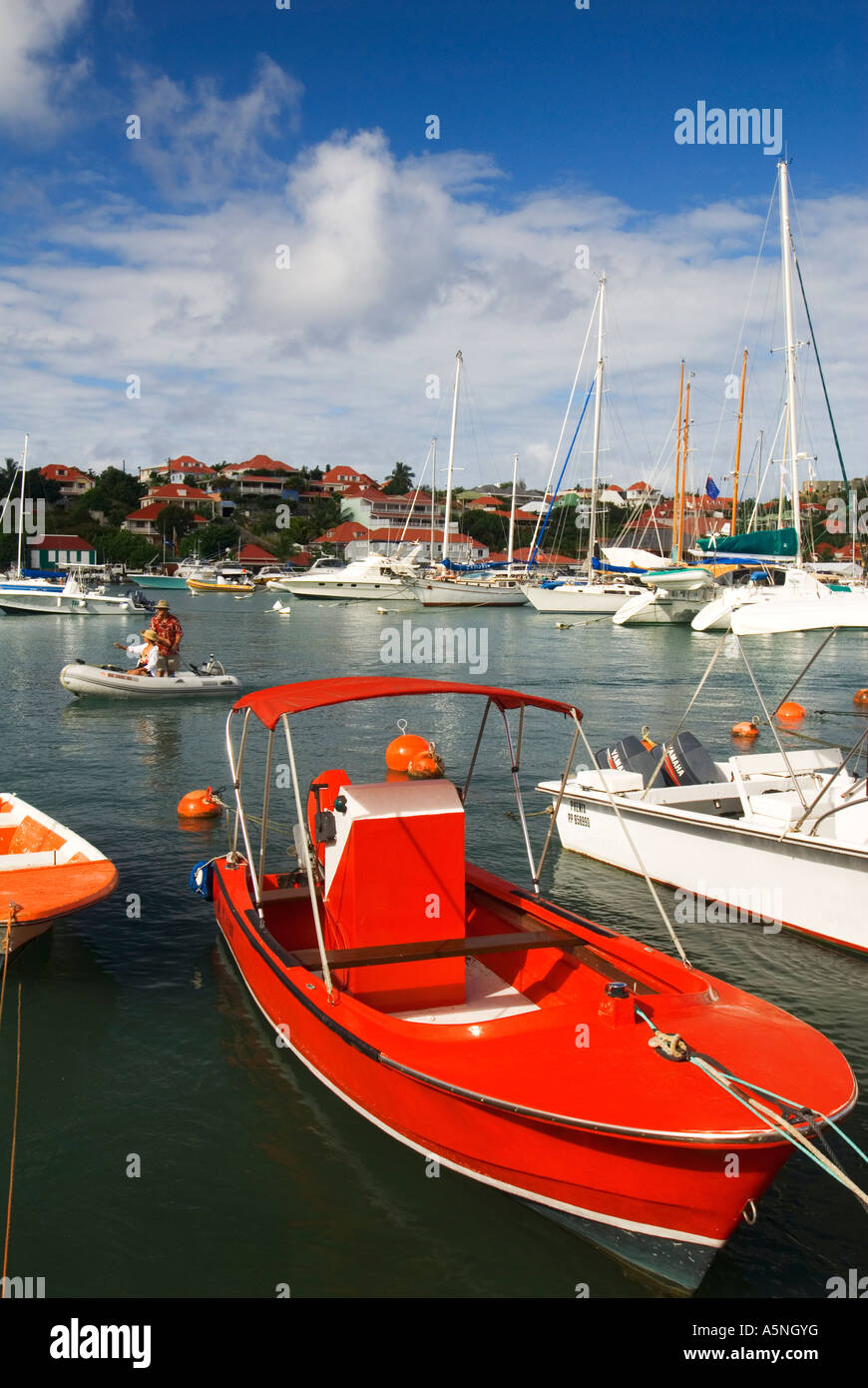 Gustavia harbour St. Barths Stock Photo - Alamy