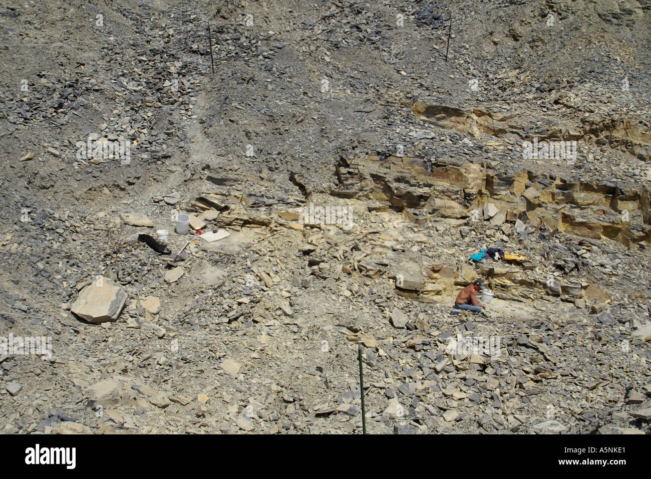 man digging in commercial fossil quarry southern utah USA Stock Photo ...
