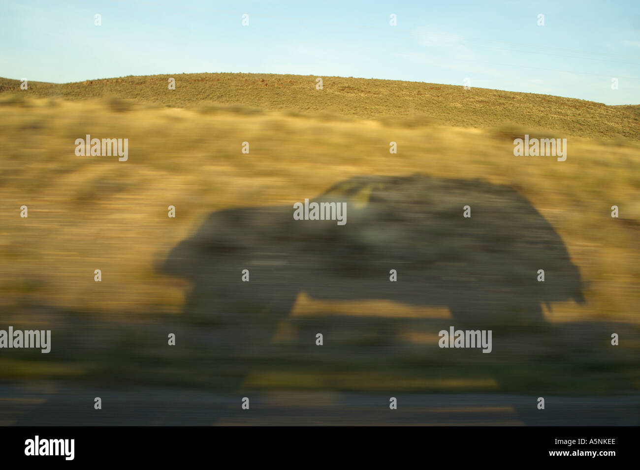 shadow of SUV while driving on highway Stock Photo - Alamy