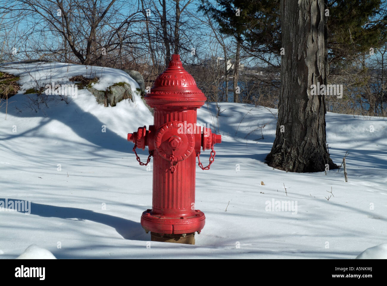 red fire hydrant Stock Photo - Alamy