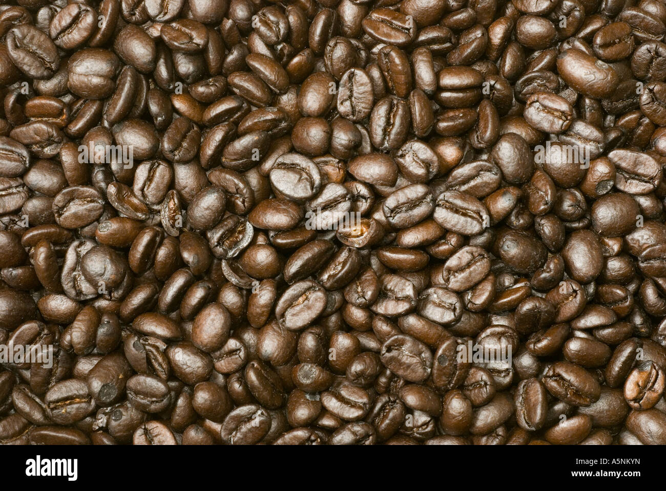 Roasted coffee beans Coffea arabica Stock Photo - Alamy