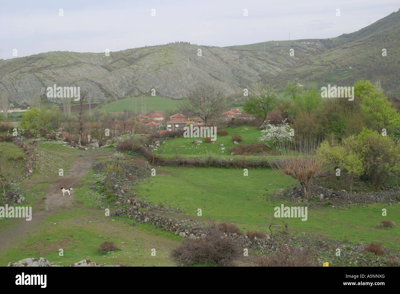 Village studen hi-res stock photography and images - Alamy