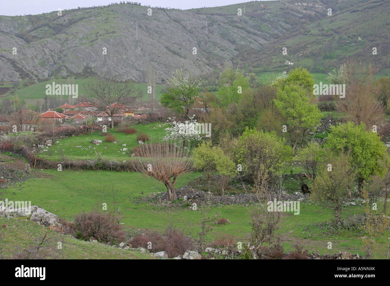 Eastern Rodopi Mountain, landscape with a village in early spring ...