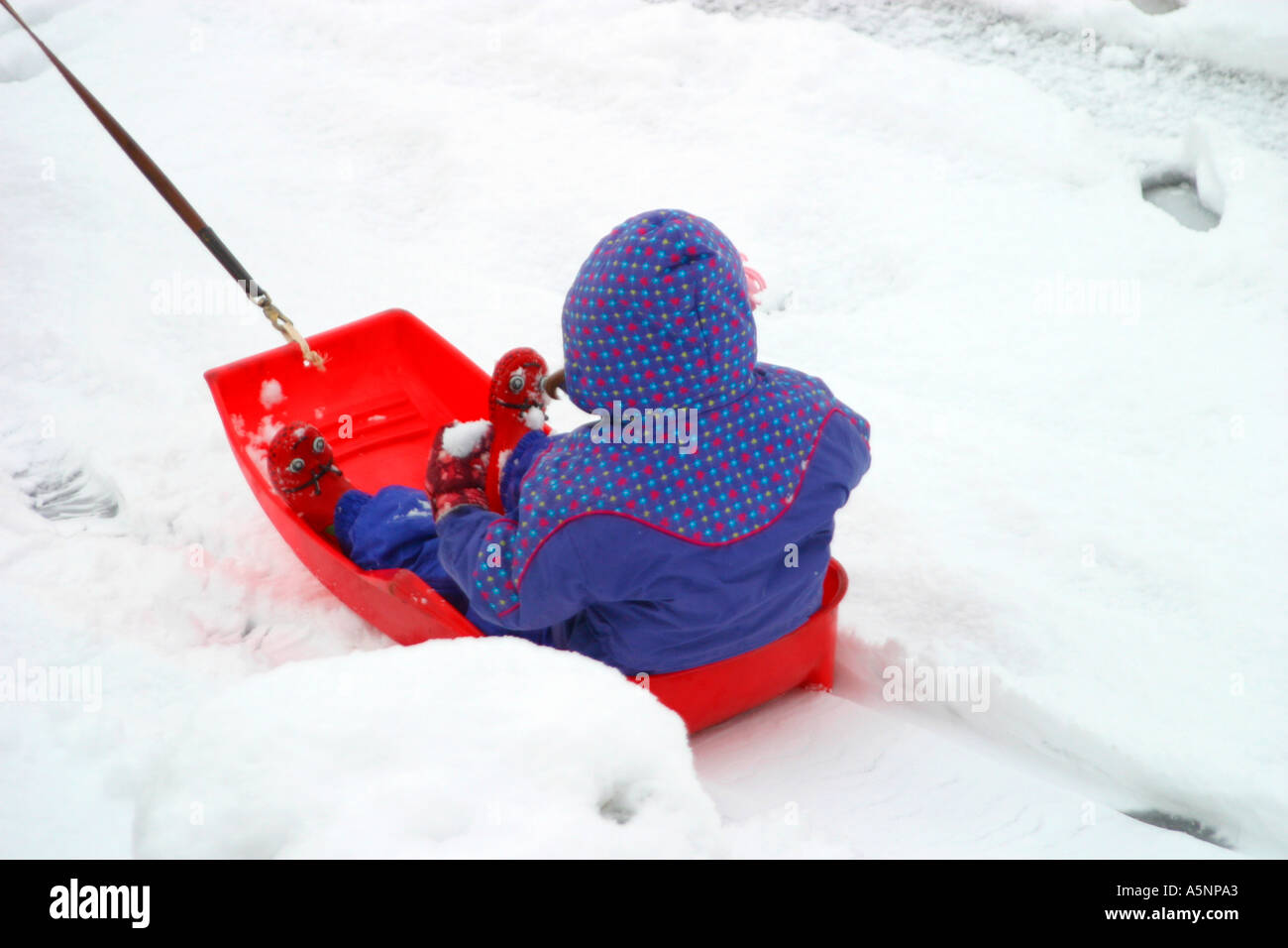 Toddler being pulled in sledge Stock Photo - Alamy