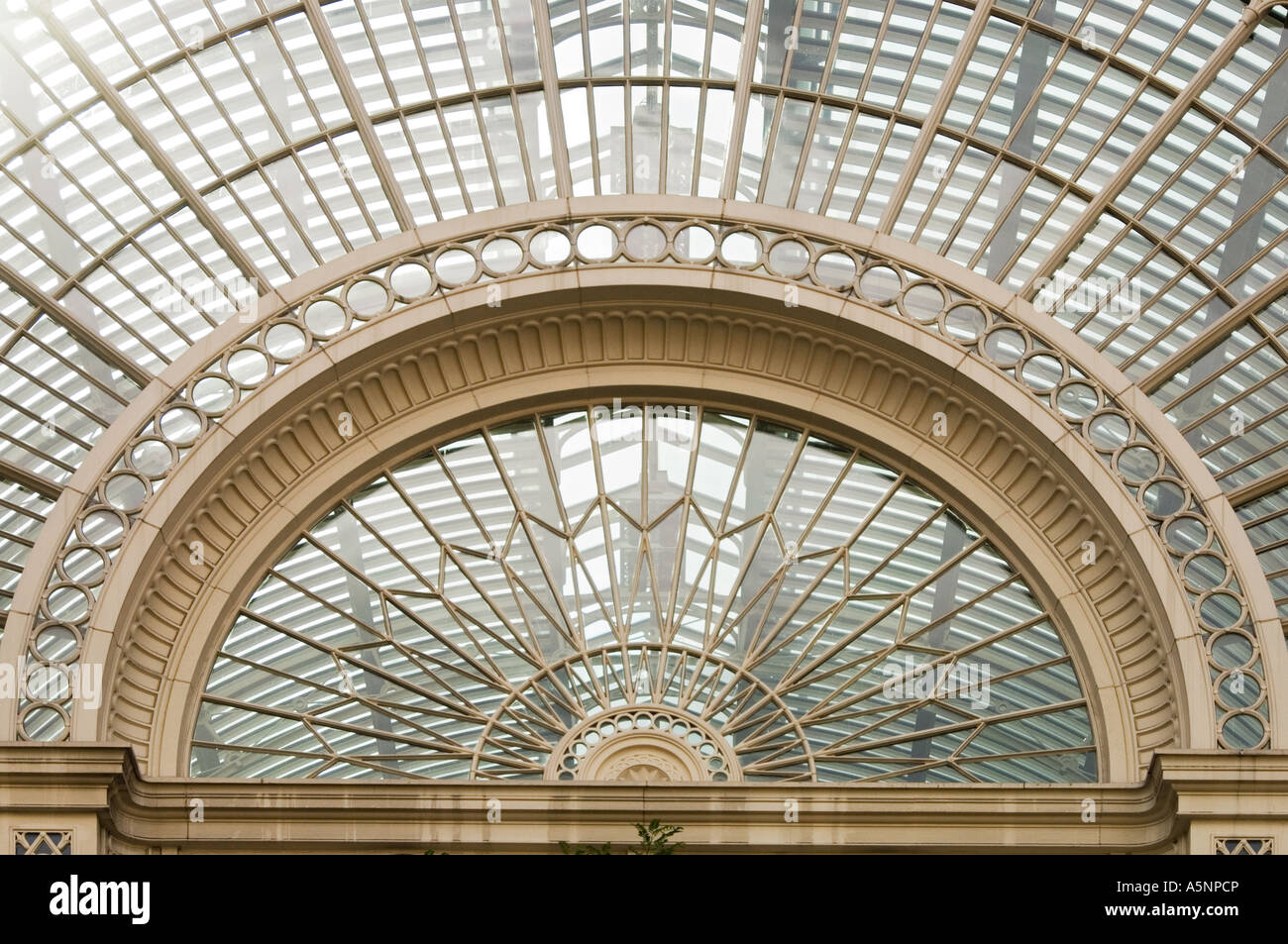 Royal opera house London Stock Photo - Alamy