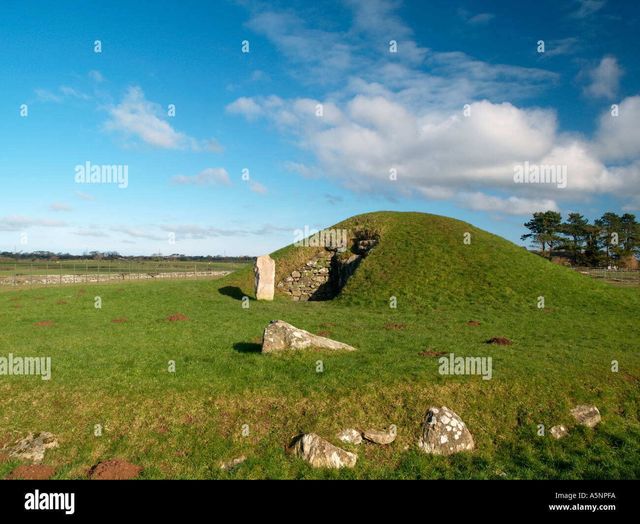 Bryn celli ddu hi-res stock photography and images - Alamy