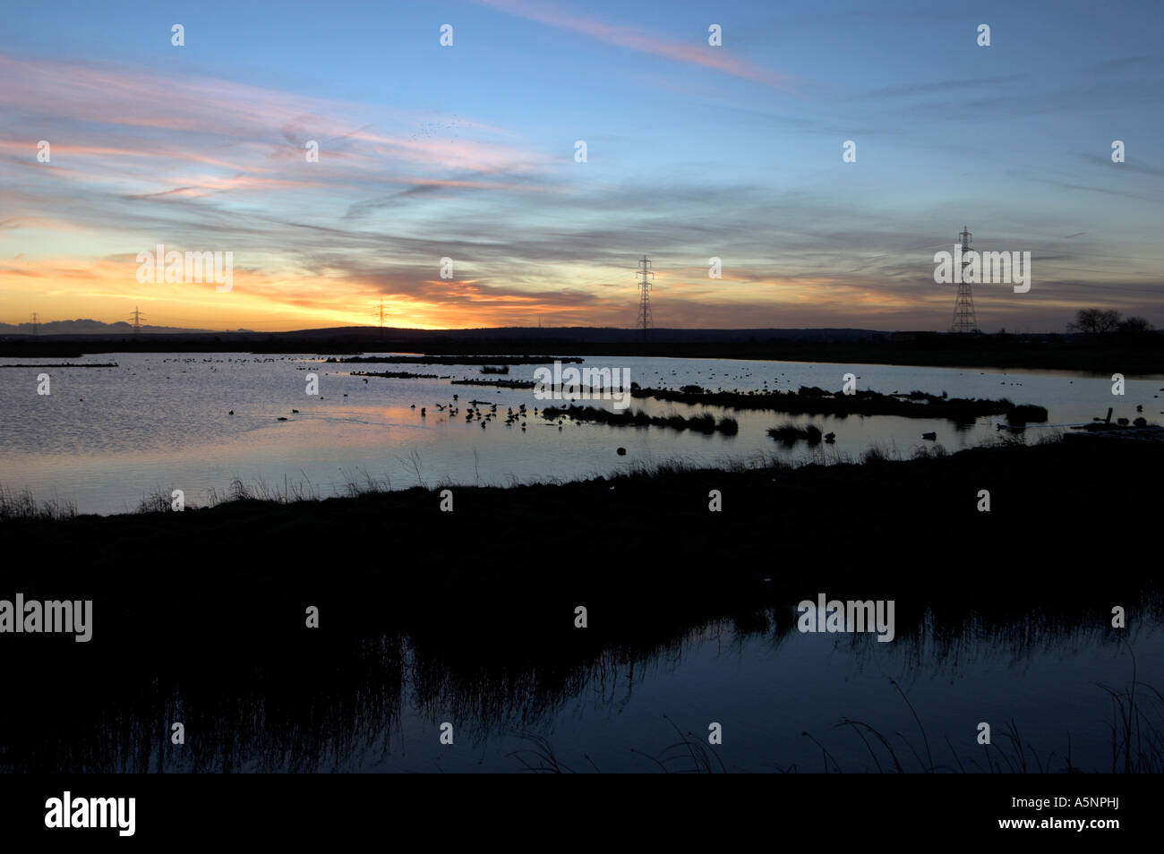 Oare Marshes Nature Reserve High Resolution Stock Photography and ...