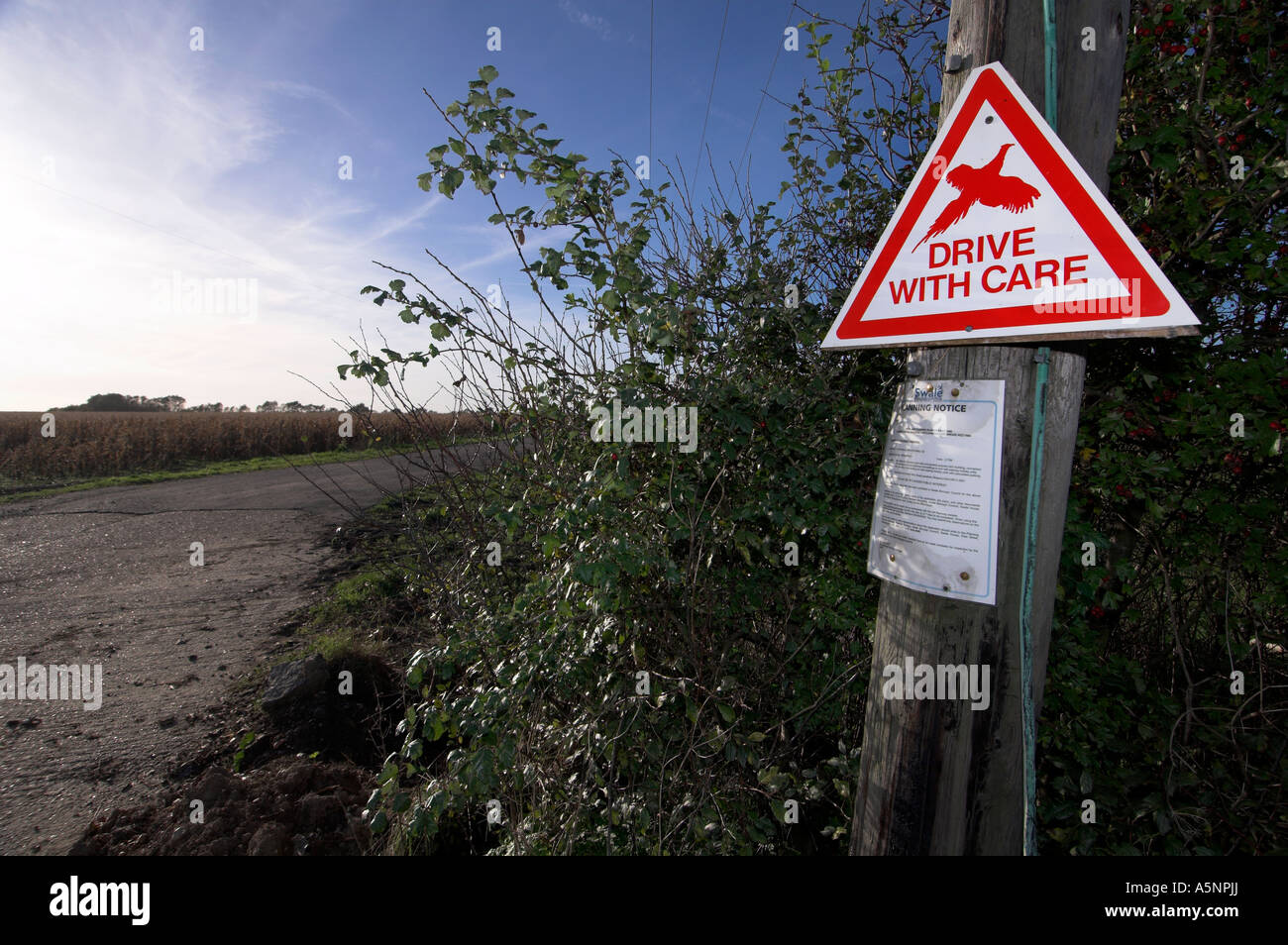 Pheasant game bird warning sign hi-res stock photography and images - Alamy
