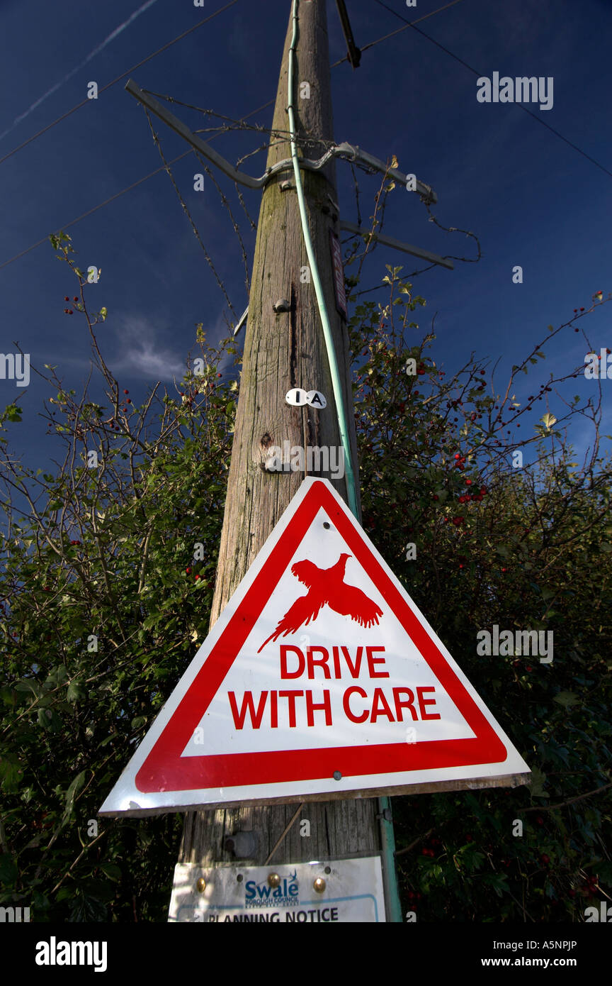 Pheasant Game Bird Warning Sign High Resolution Stock Photography and ...