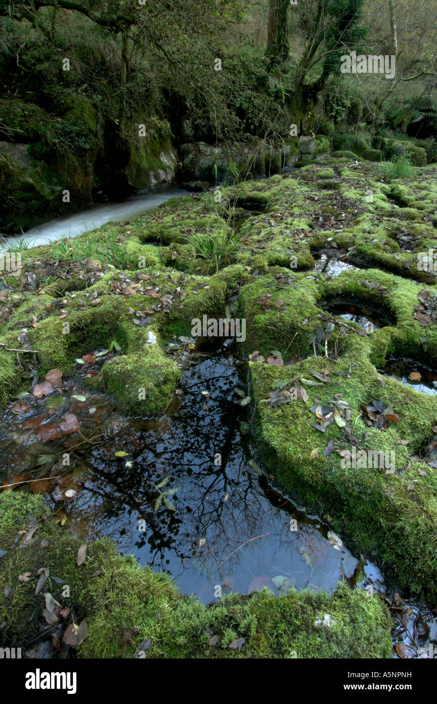 Sarn park hi-res stock photography and images - Alamy