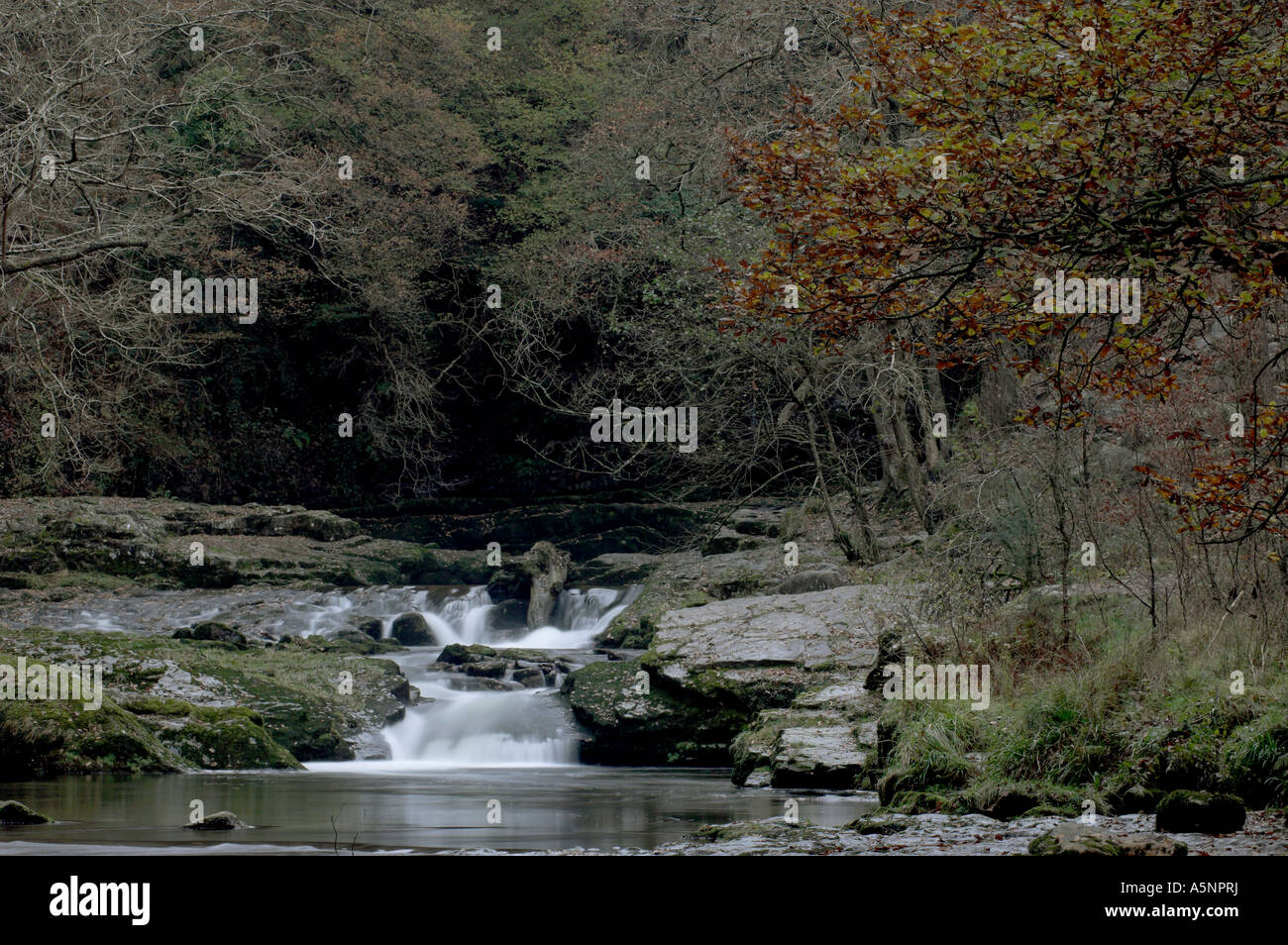 Waterfall along the River Afon Mellte. Brecon Beacons National Park ...