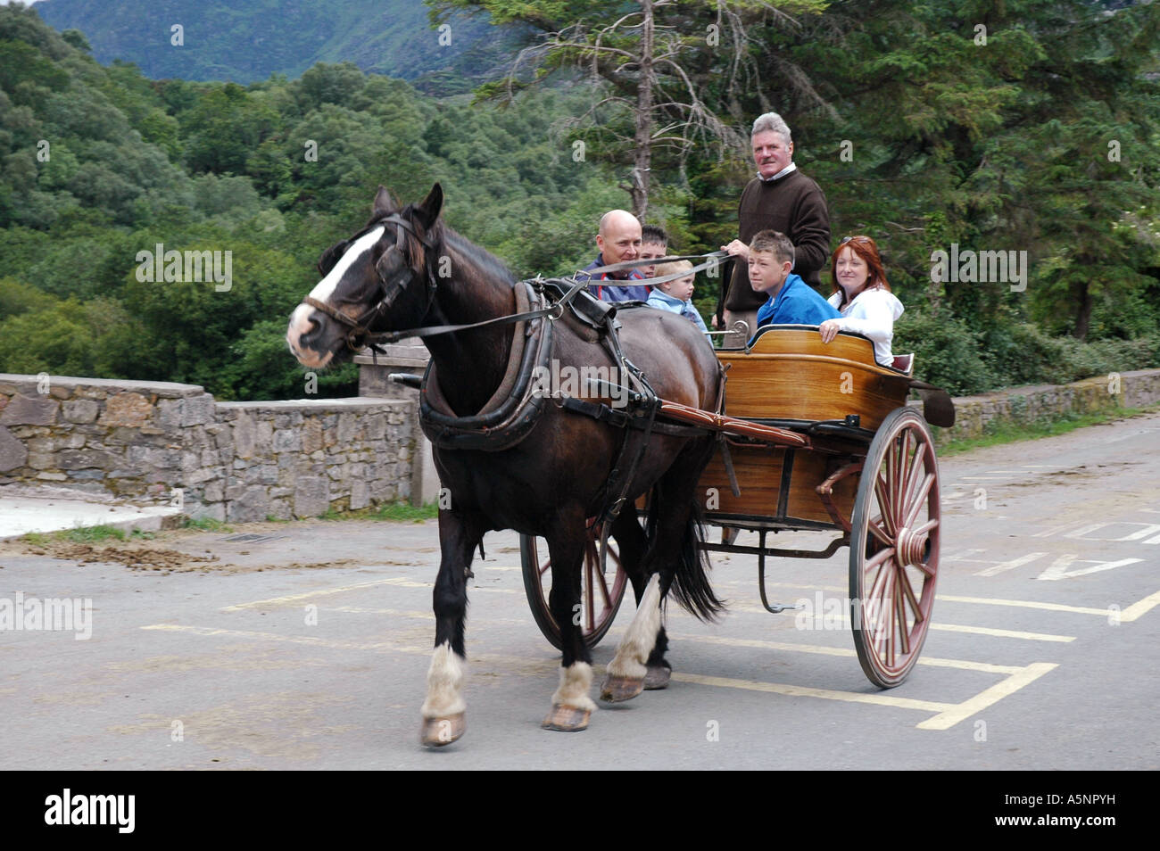 Pony And Trap Ireland High Resolution Stock Photography and Images - Alamy
