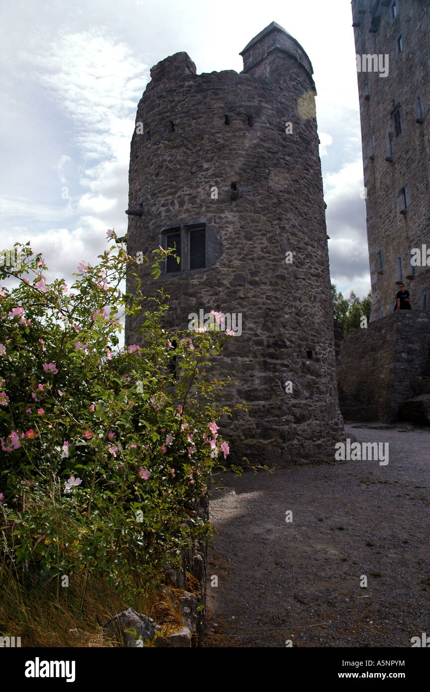 Tower at Ross Castle, Killarney, Ireland Stock Photo - Alamy