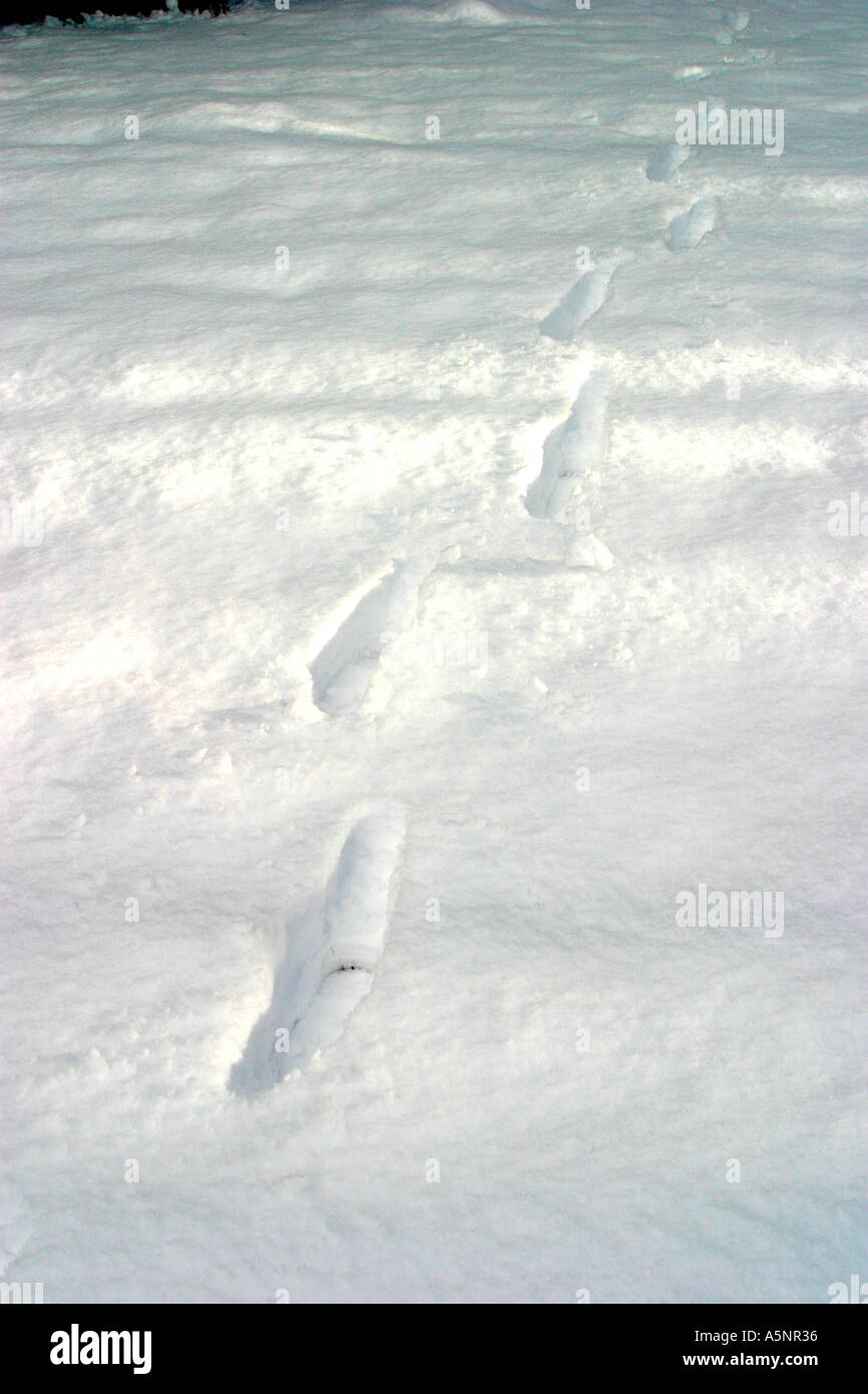 Footprints in deep snow Stock Photo - Alamy