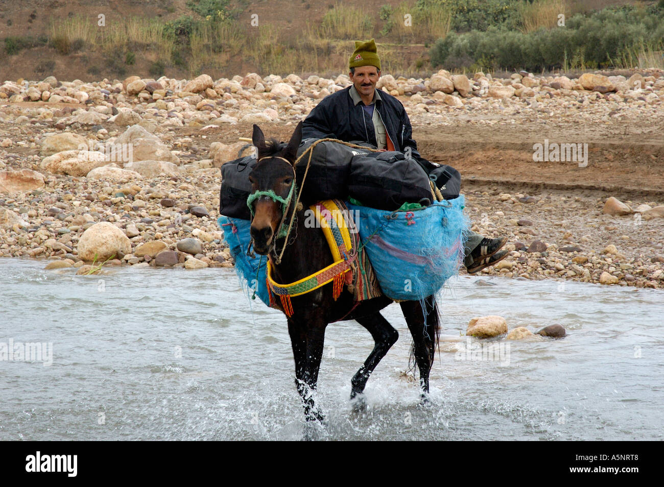 The muleteer hi-res stock photography and images - Alamy
