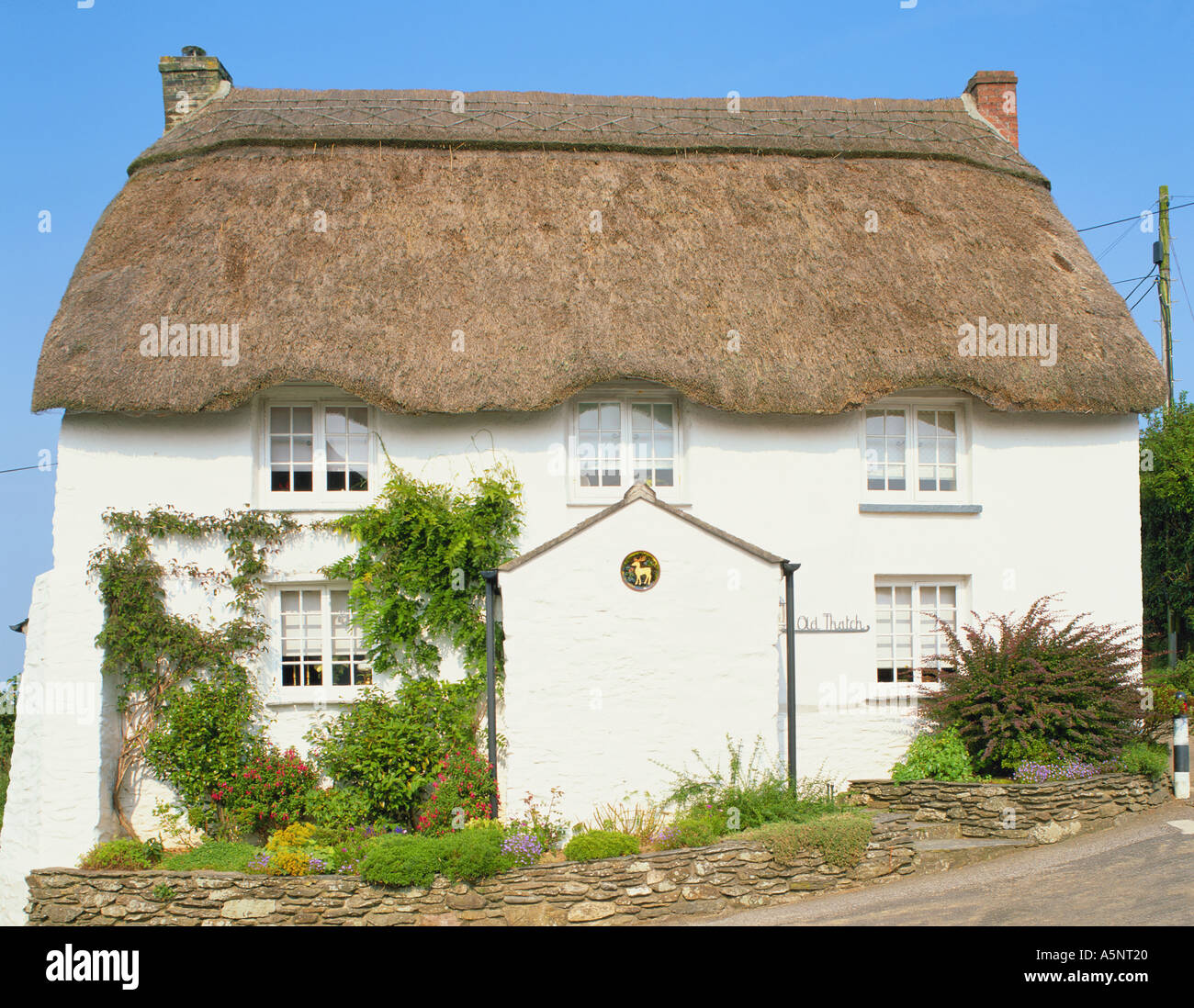 Cornwall thatched cottage roof hi-res stock photography and images - Alamy