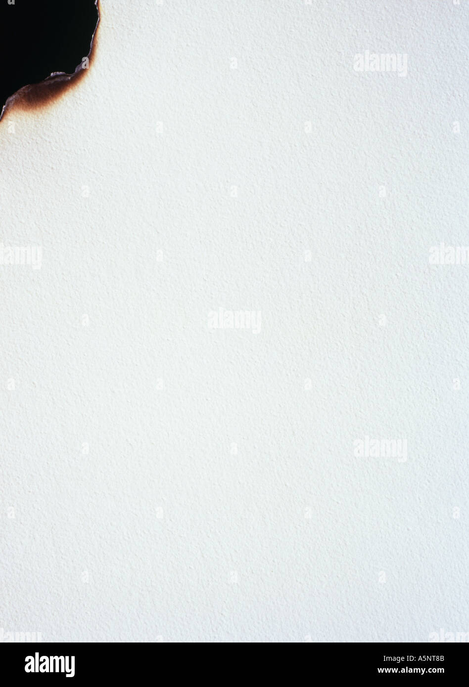 A burnt piece of paper Stock Photo - Alamy