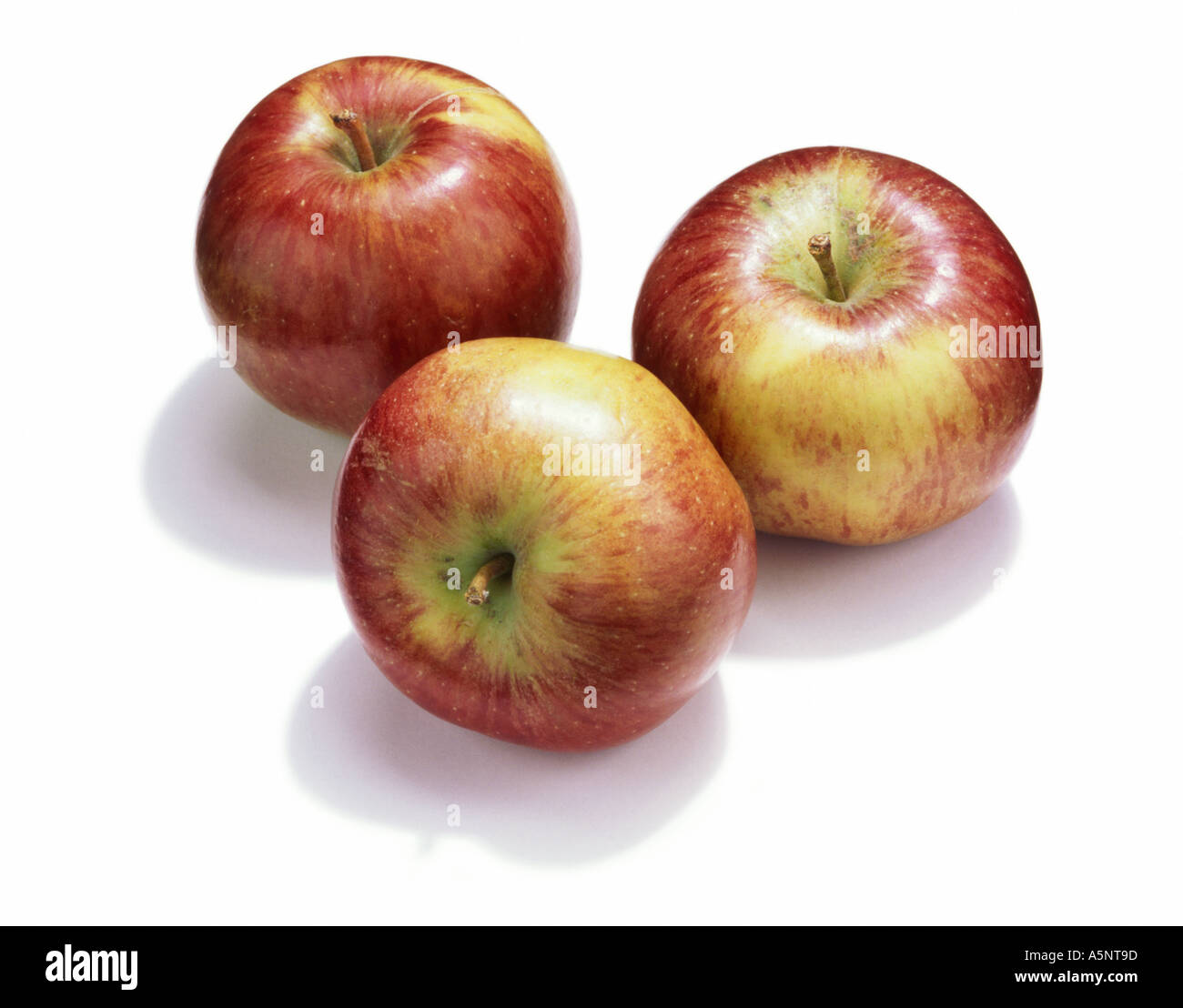 Apples tree Cut Out Stock Images & Pictures - Alamy