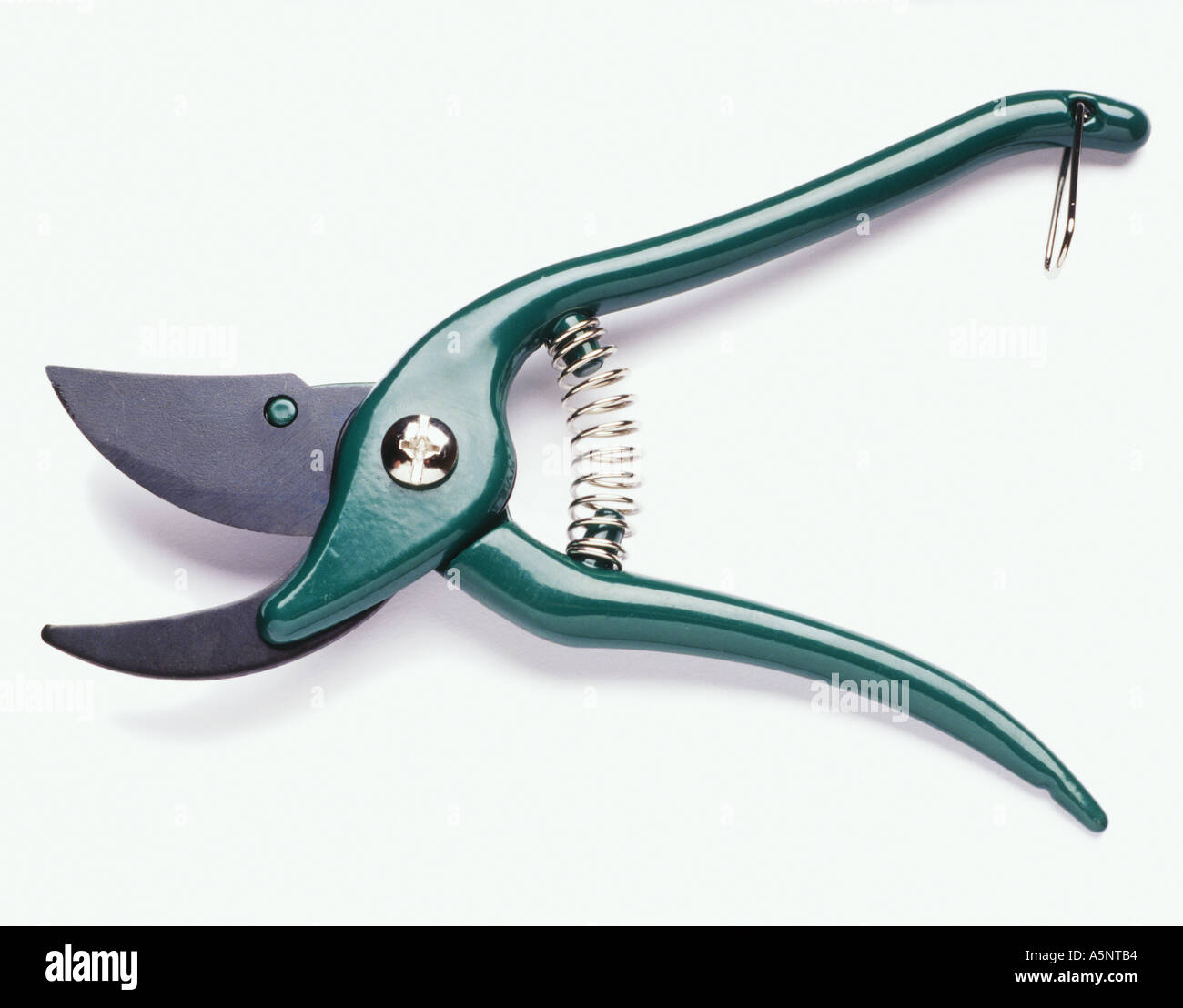 Secateurs hi-res stock photography and images - Alamy