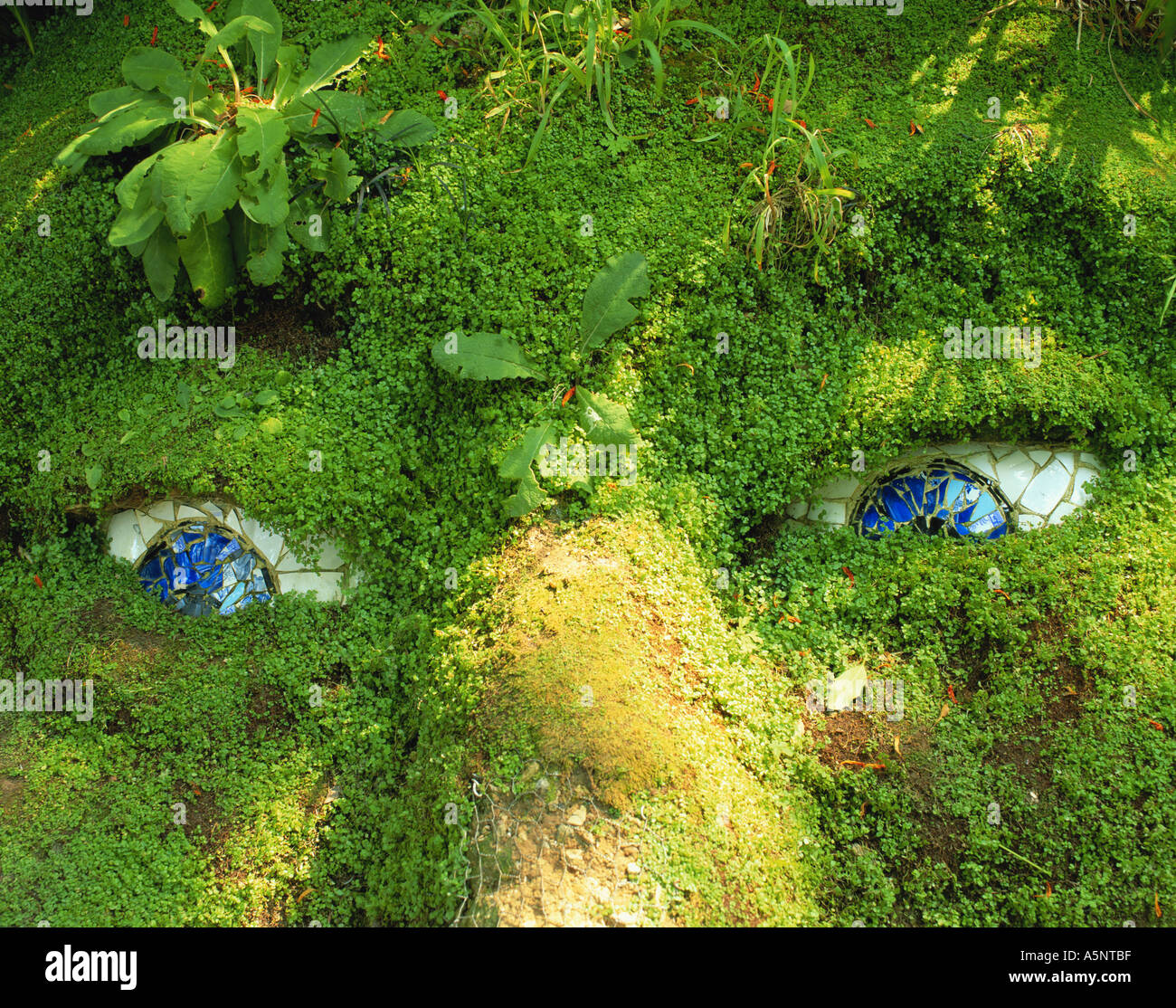 GB Cornwall The Lost Gardens of Heligan Stock Photo - Alamy