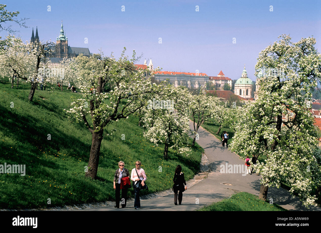 CZECH REPUBLIC PRAGUE PETRIN HILL IN SPRING Stock Photo - Alamy