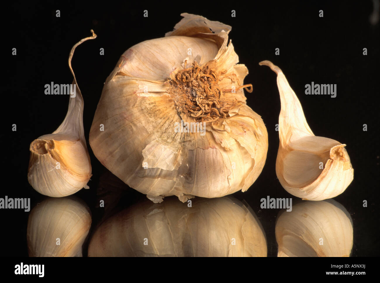 Close-up of garlic cloves Stock Photo - Alamy