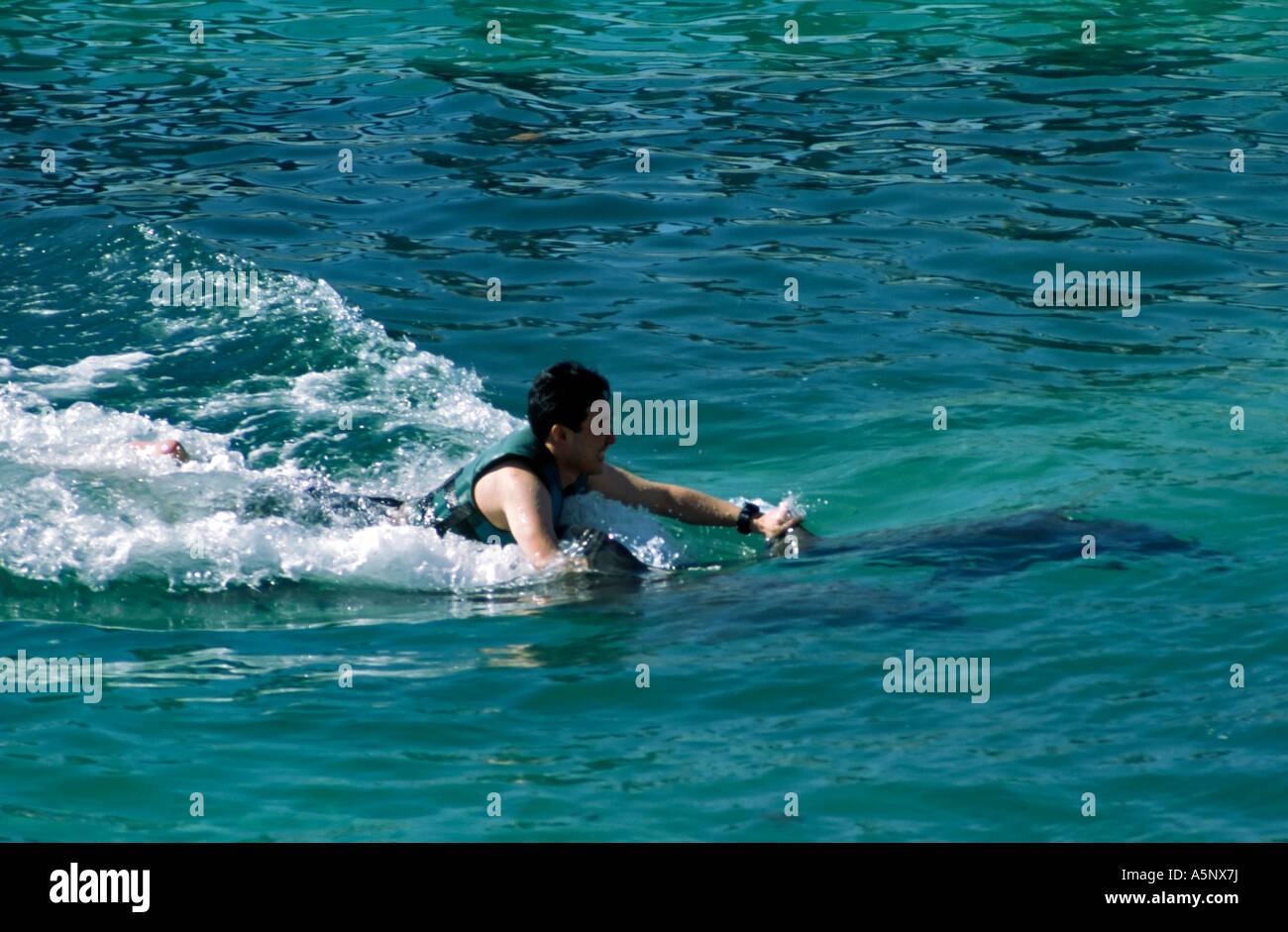 Visitors riding dolphin at Dolphin Discovery, Isla Mujeres, Quintana ...