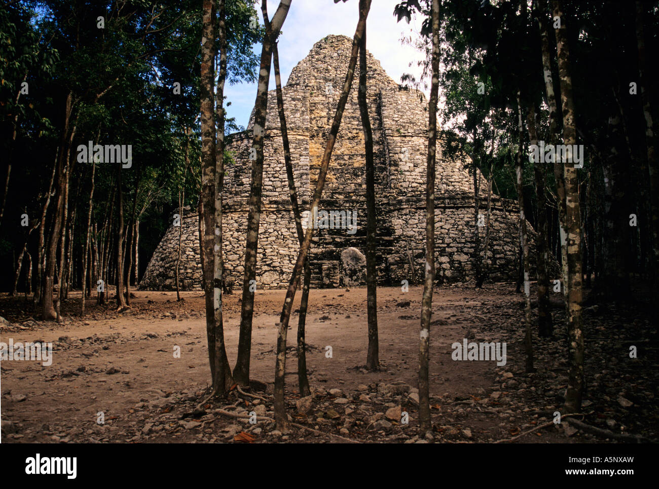 Small pyramid in Nohoch Mul Group, Mayan ruins, Coba, Quintana Roo ...
