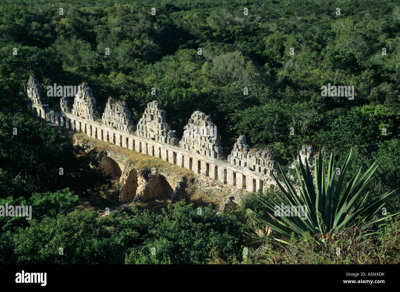 Uxmal ruins aerial view High Resolution Stock Photography and Images ...