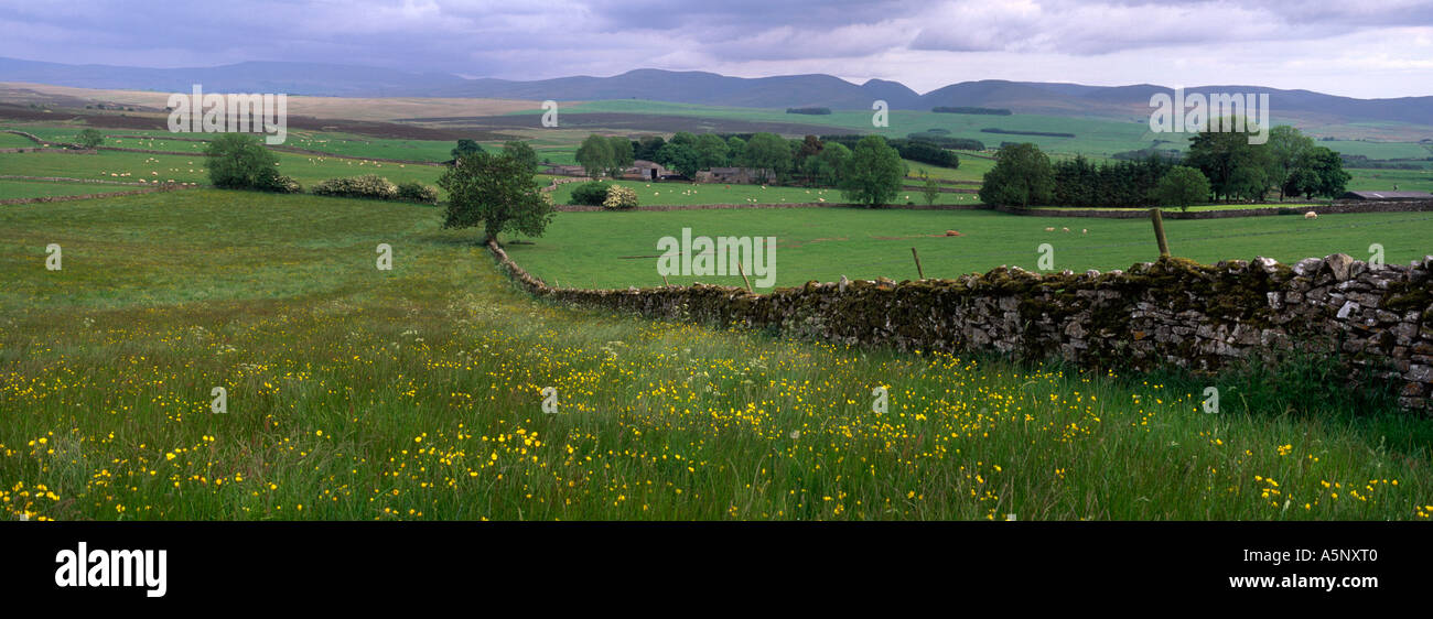 Orton Scar High Resolution Stock Photography and Images - Alamy
