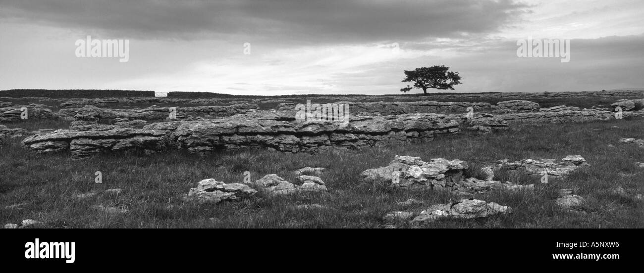 Landscape scar Black and White Stock Photos & Images - Alamy