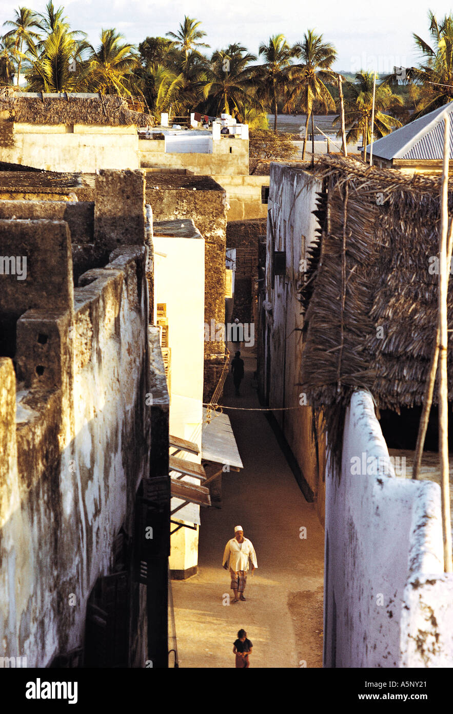 Makuti roof hi-res stock photography and images - Alamy
