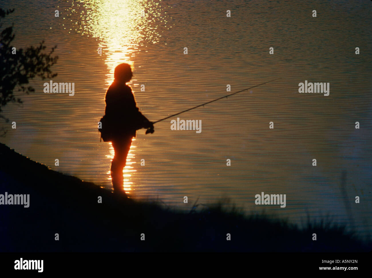 Angler at sunset Stock Photo - Alamy