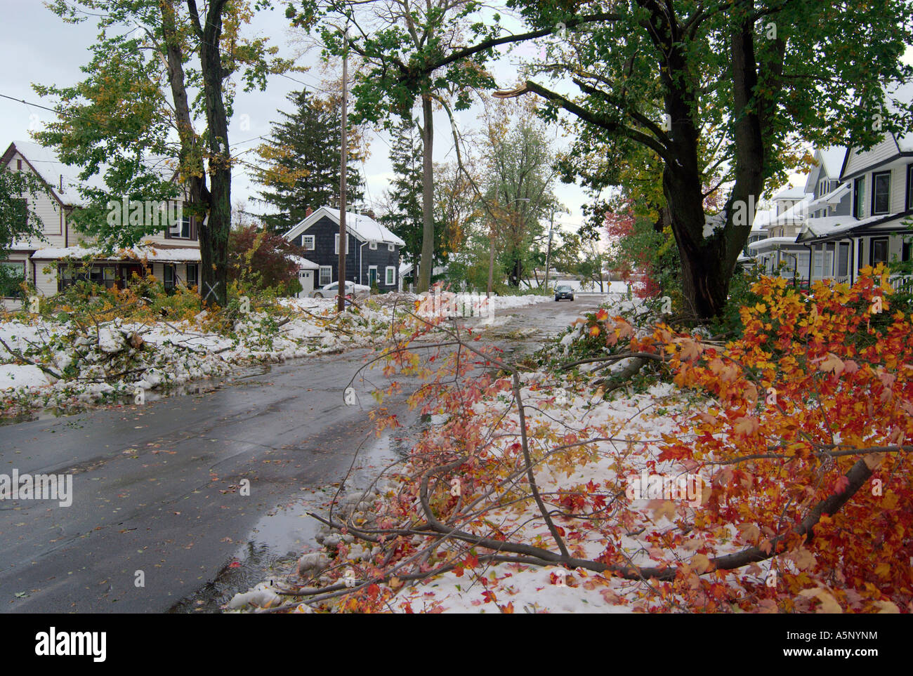 Ontario storm damage hi-res stock photography and images - Alamy