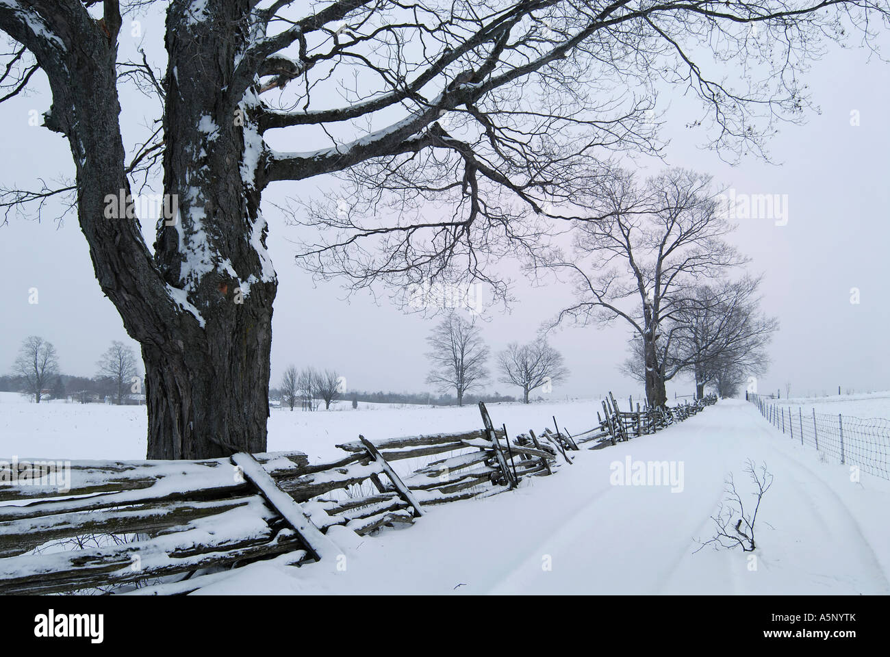Rural winter tranquil scene Stock Photo - Alamy