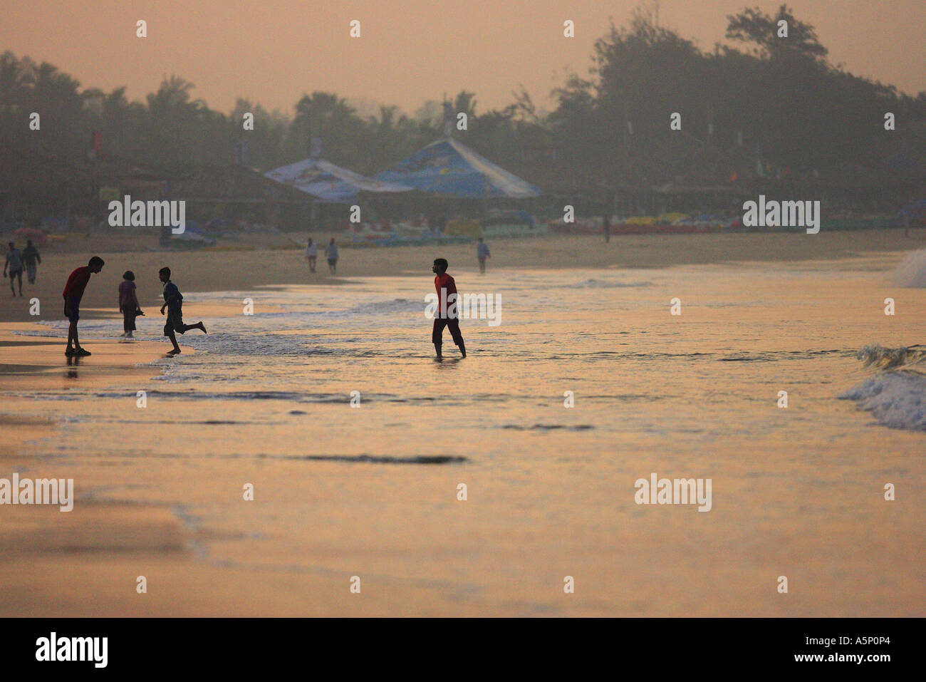 First light beach scene Baga, goa, india Stock Photo - Alamy