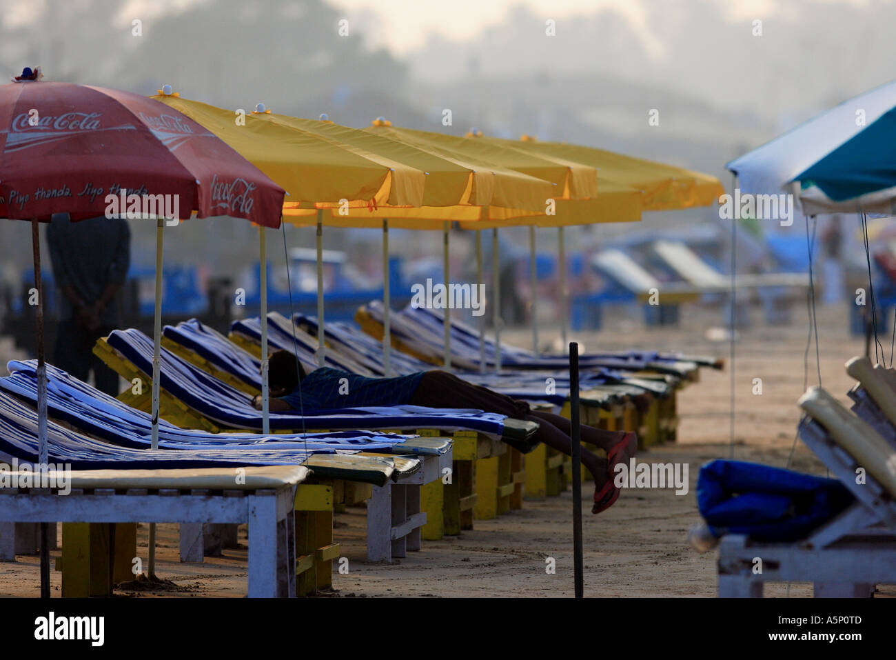 Homemade wooden sun beds and sun shades on Baga beach Goa India Stock ...