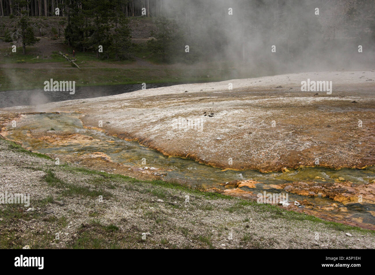 Run off to Firehole River, Midway Geyser, Yellowstone Stock Photo - Alamy