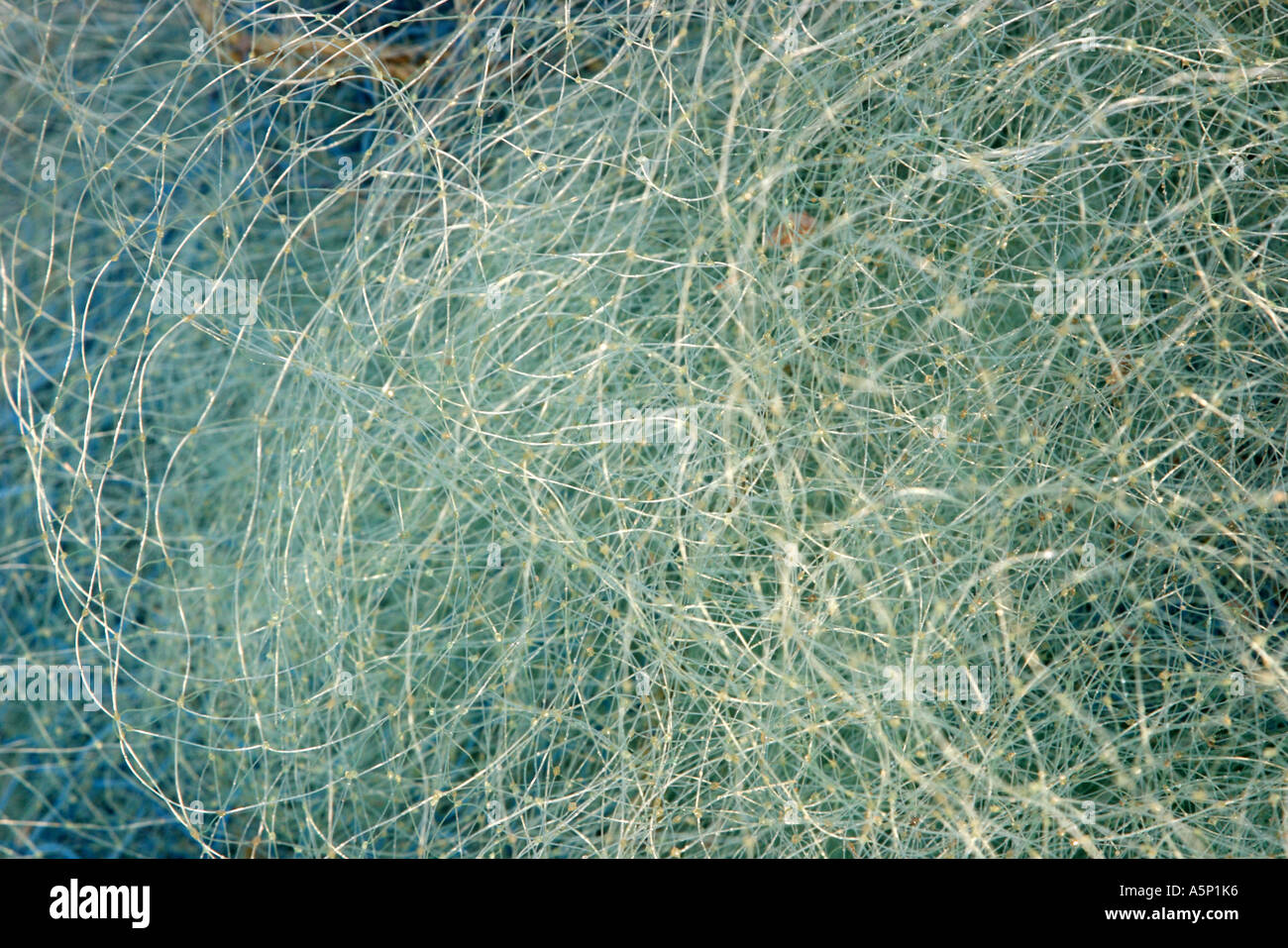 Mono filament fishing nets hi-res stock photography and images - Alamy