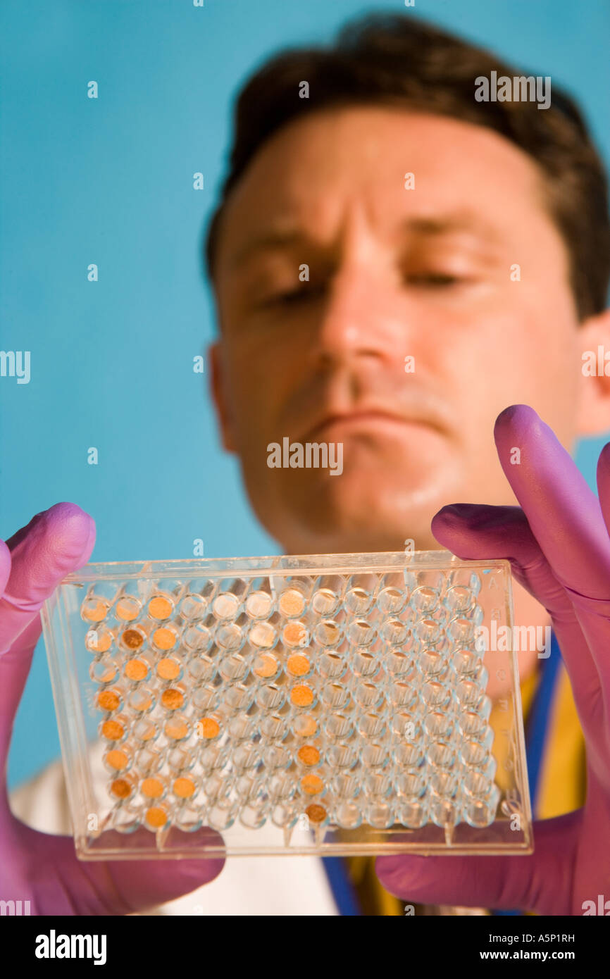 Researcher looks over samples hi-res stock photography and images - Alamy