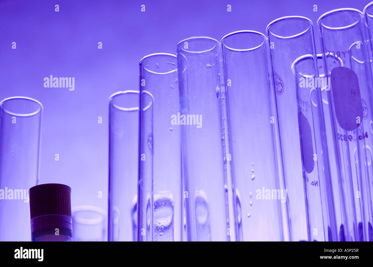 Testtubes with purple background Stock Photo - Alamy
