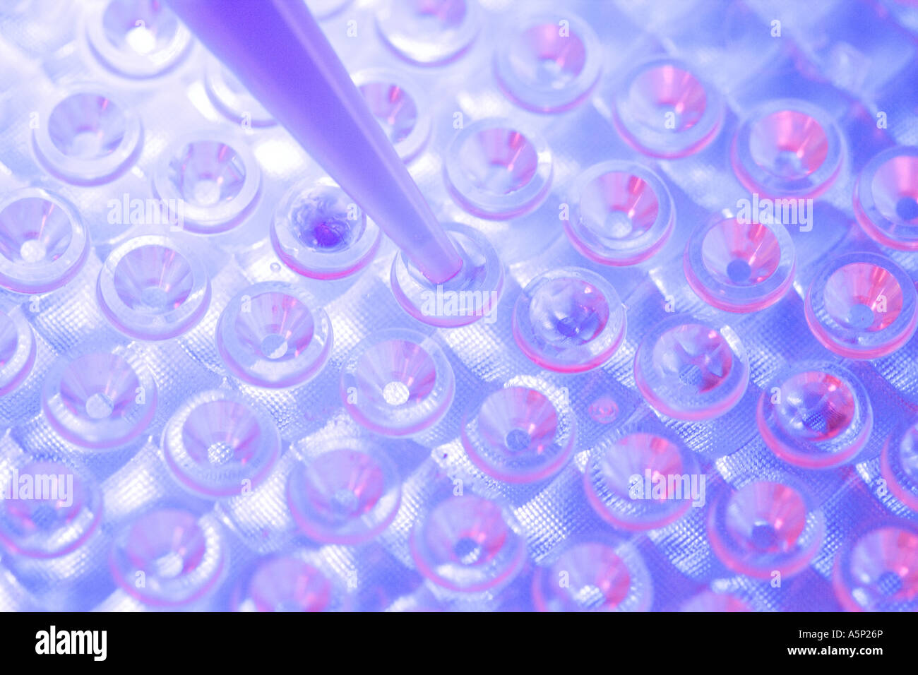 Microtiter plate with pipette. Good image for generic research design ...