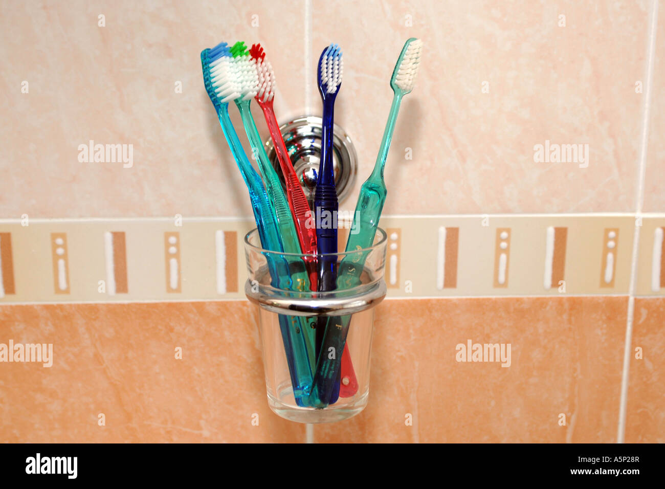 Group of family toothbrushes in a beaker fixed to the bathroom wall ...