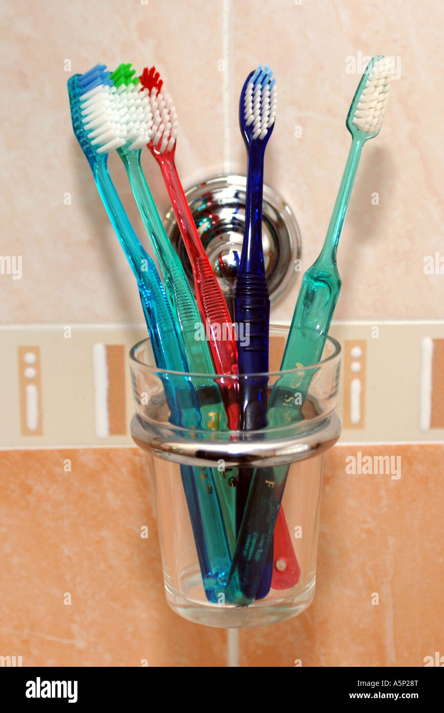 Group of family toothbrushes in a beaker fixed to the bathroom wall ...